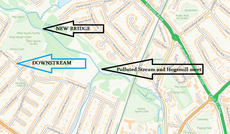 “Garden of Eden” coming to West Ewell as Wetlands Plan is approved ...